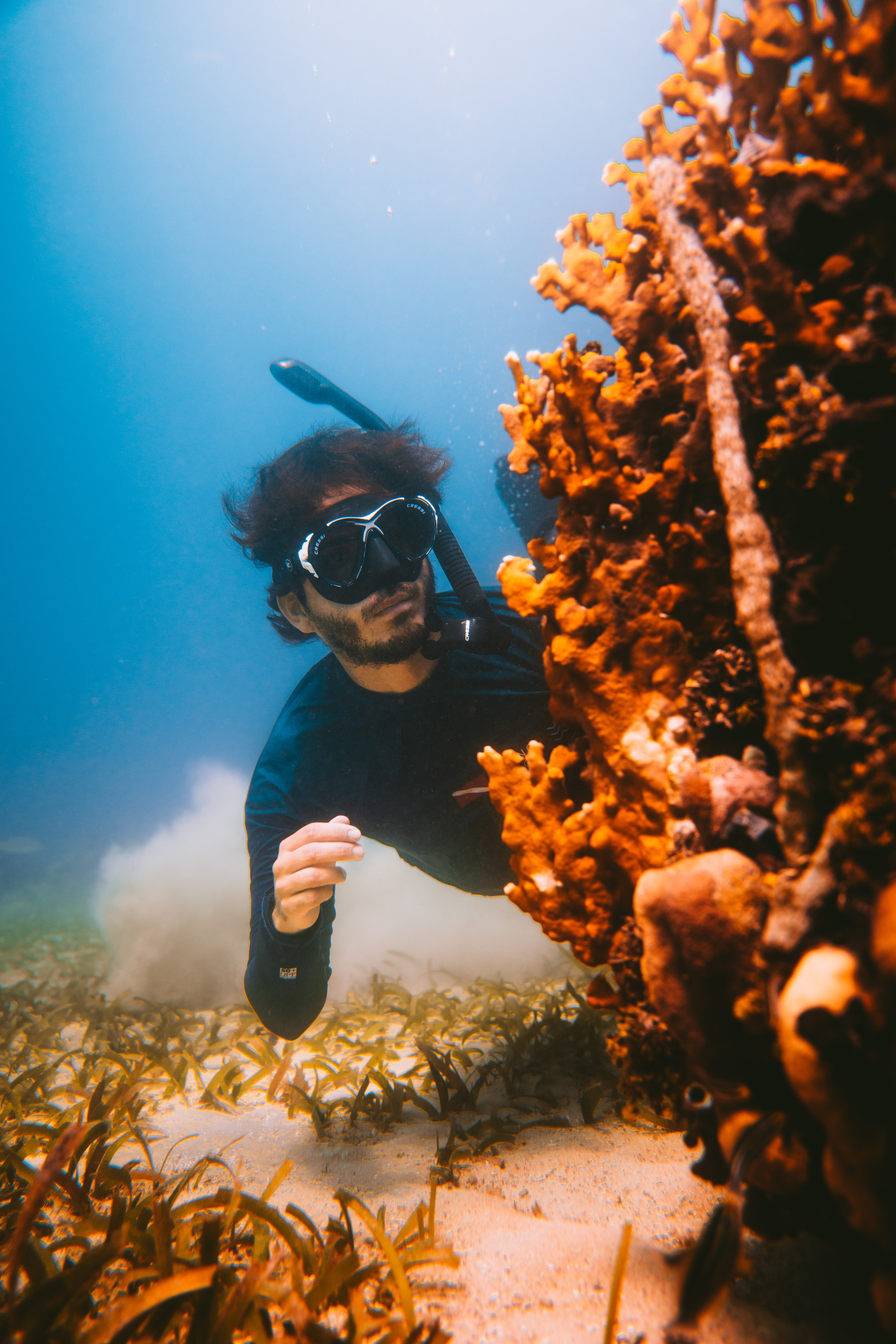 Corona Island, discover this paradise